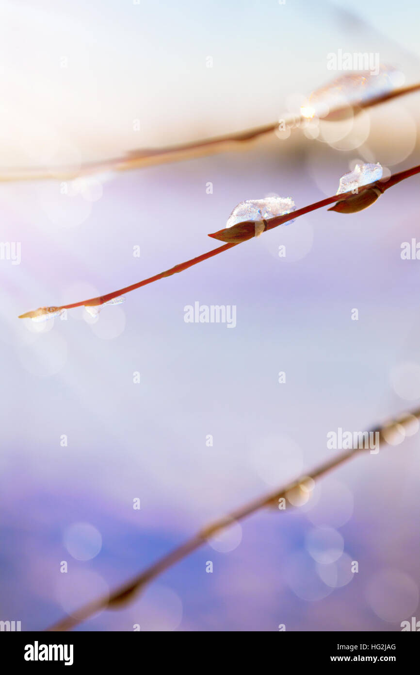 Abstract art spring background with thawing snow in the spring of ...