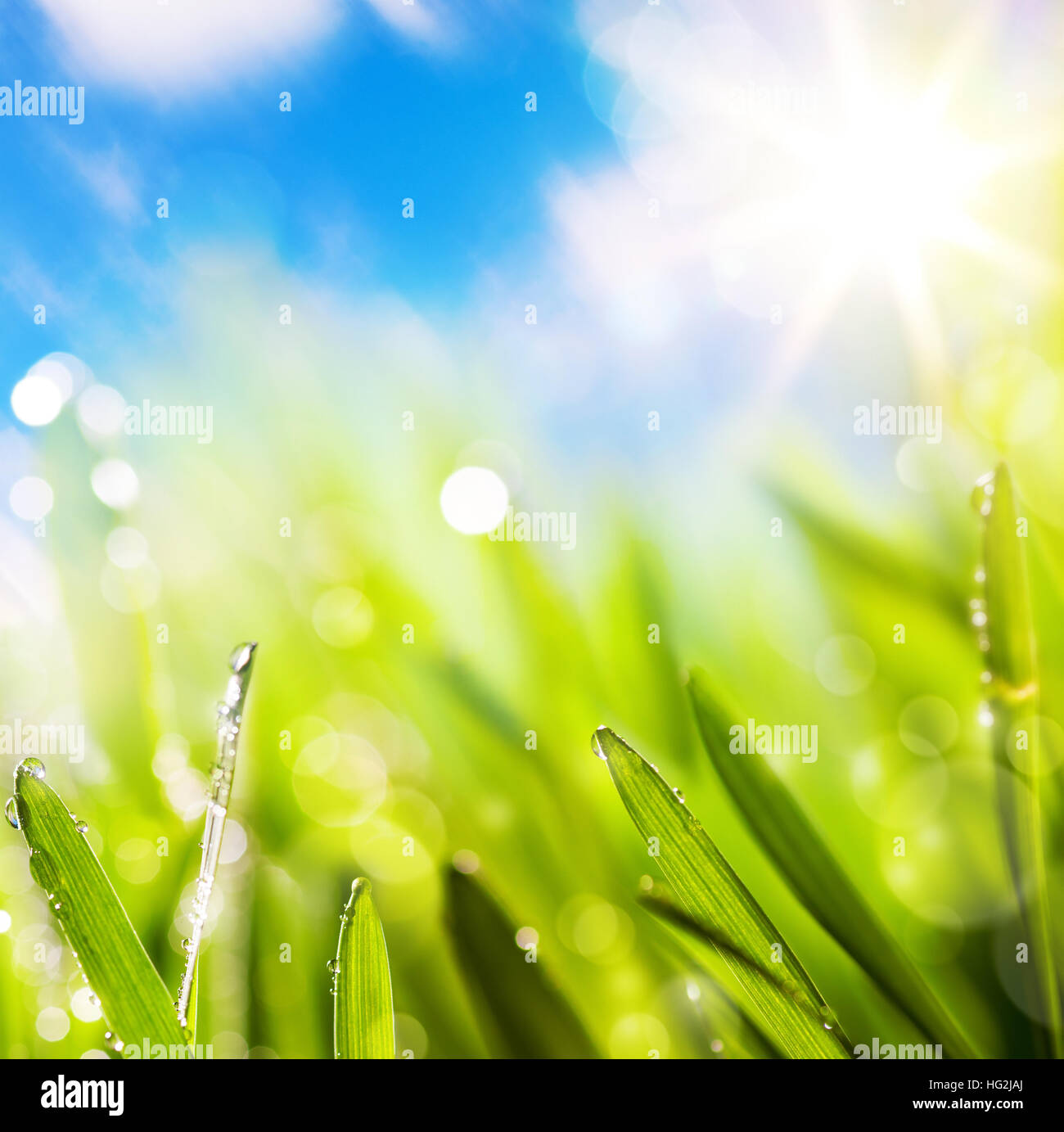 abstracts of natural spring green background Stock Photo - Alamy