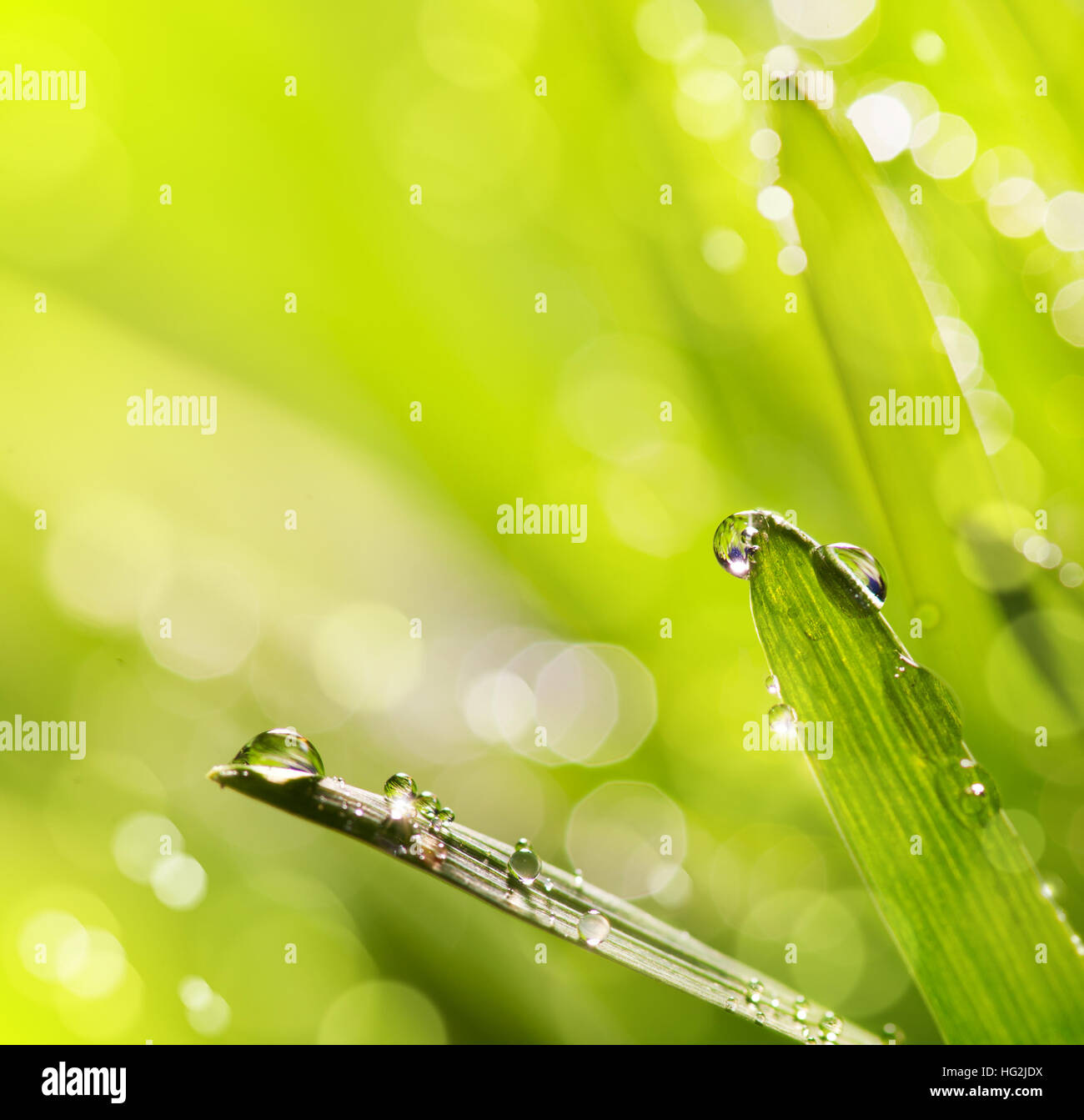 Spring or summer abstract nature background with grass and blue sky ...