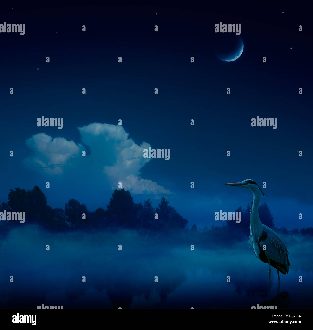 Art fantasy blue night background Stock Photo - Alamy