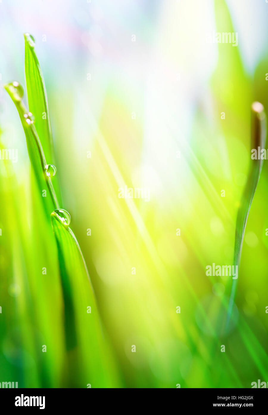 abstract spring green background Stock Photo - Alamy