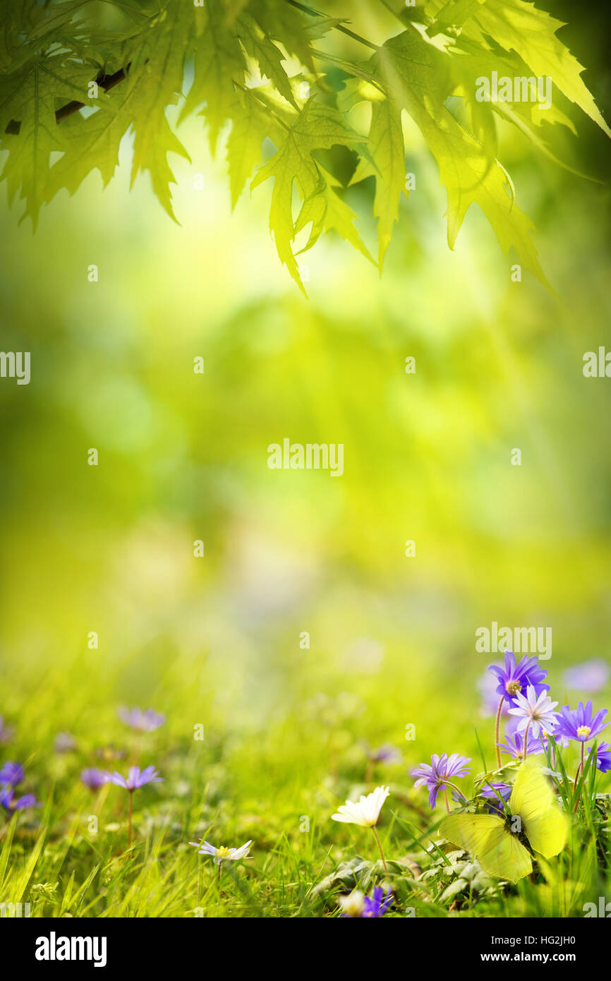 abstract spring green background Stock Photo - Alamy