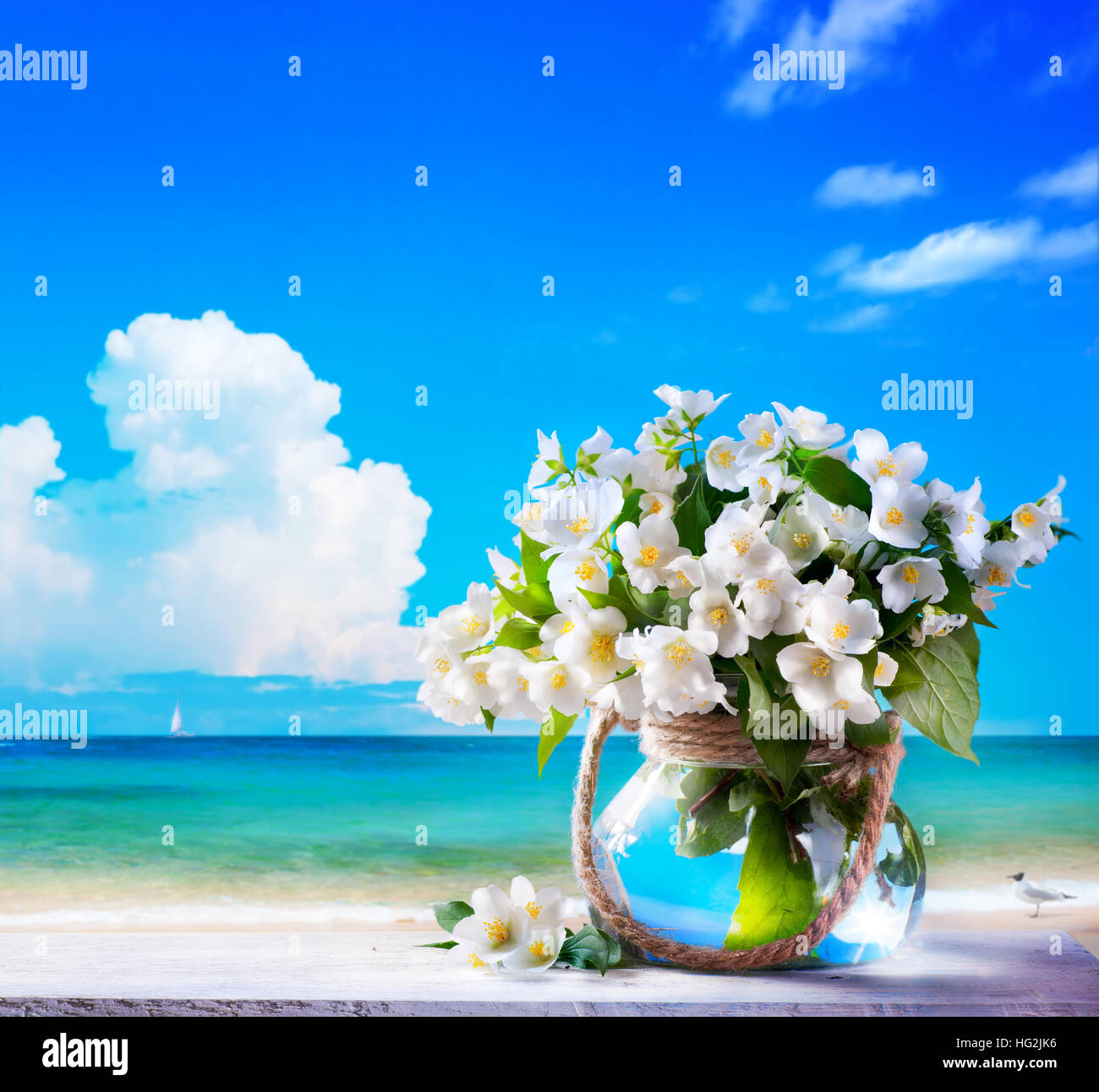 Jasmine coast hi-res stock photography and images - Alamy