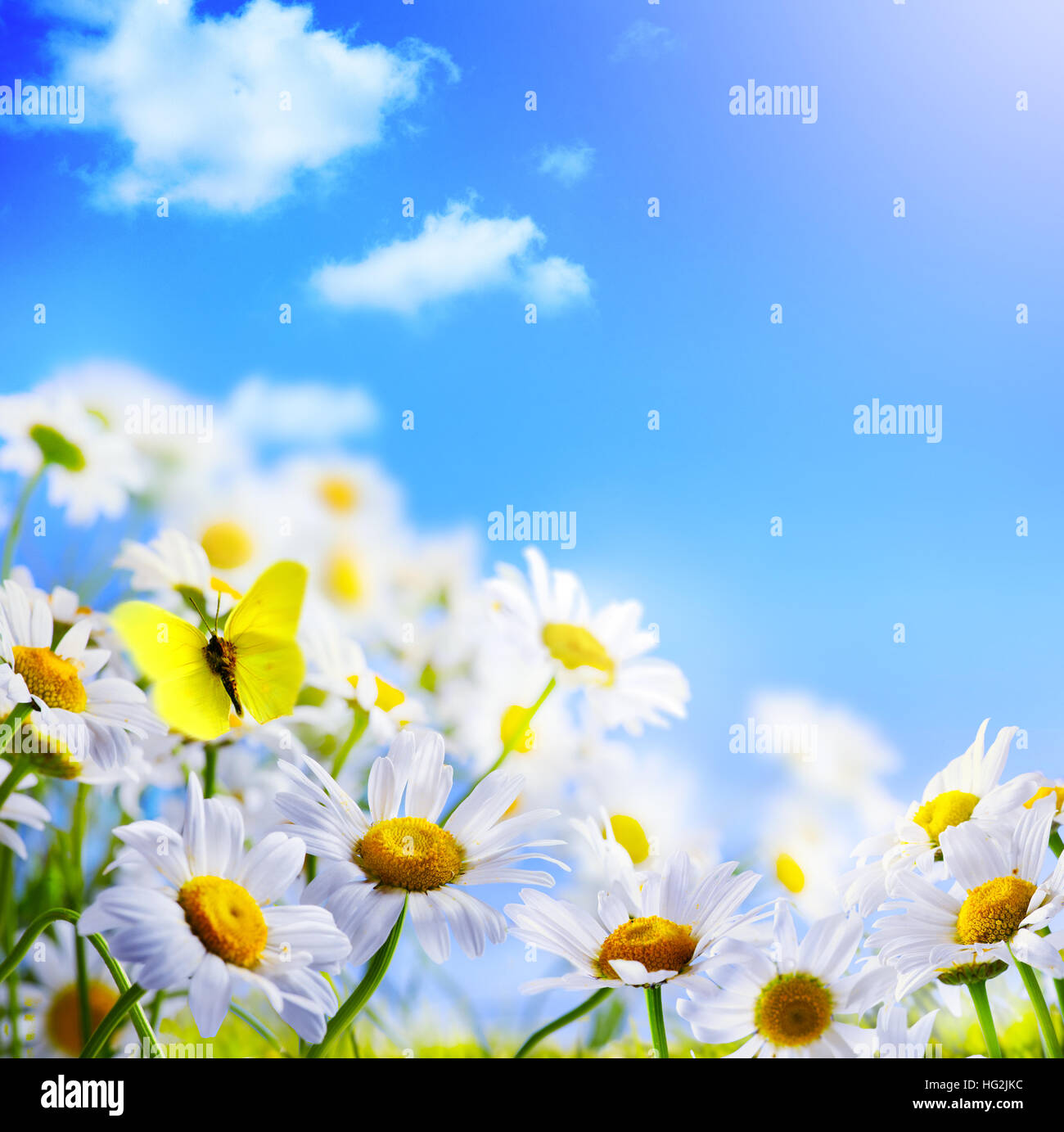 spring background with on a background of blue sky Stock Photo - Alamy