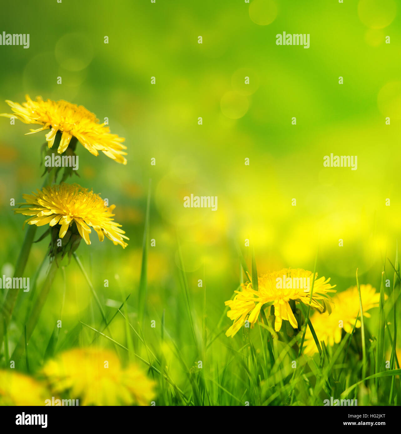 art Beautiful spring flowers background Stock Photo - Alamy
