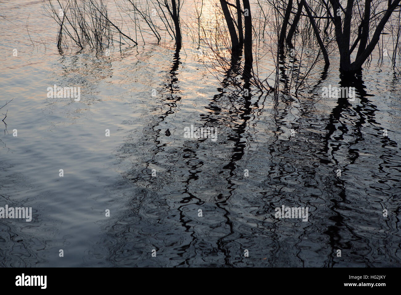 art spring water background Stock Photo - Alamy