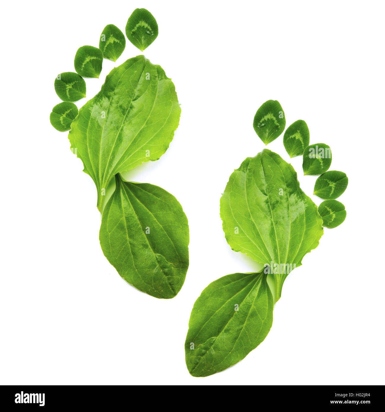 abstract spring green ecology symbol foot print Stock Photo - Alamy
