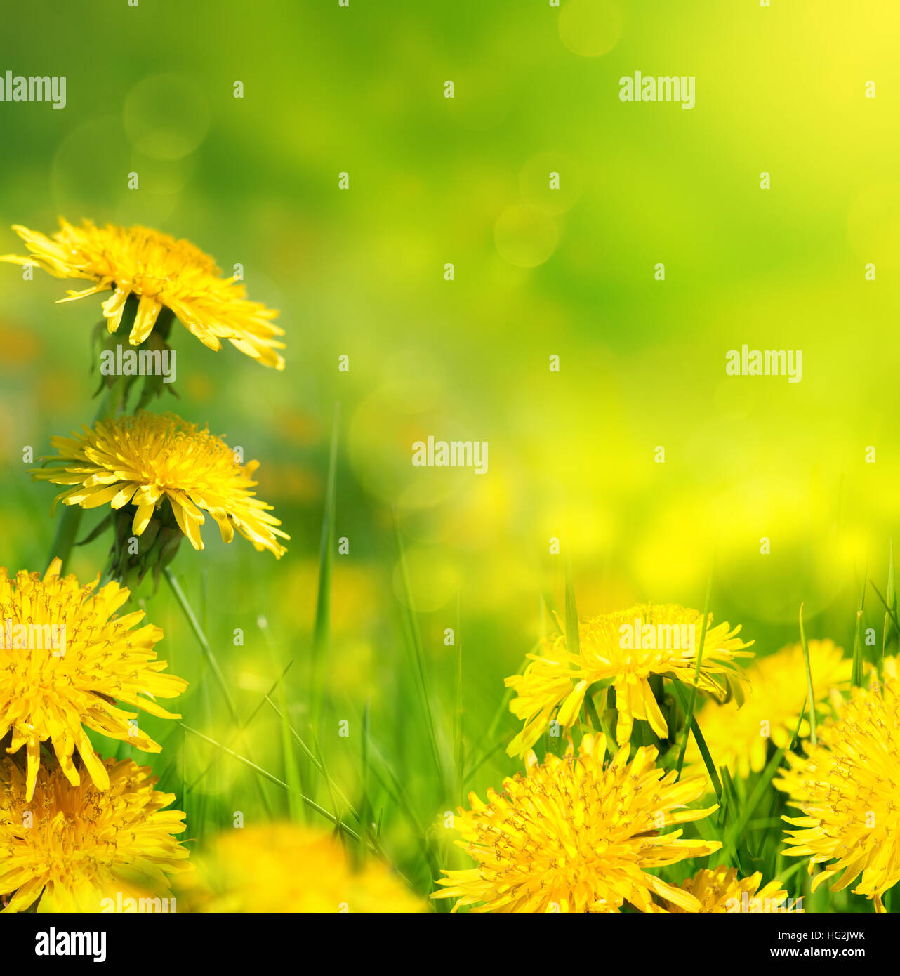 art Beautiful spring flowers background Stock Photo - Alamy