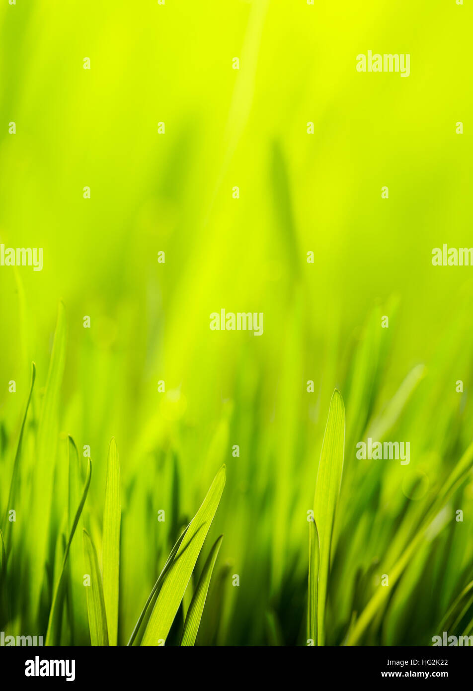 abstract spring nature green background Stock Photo - Alamy