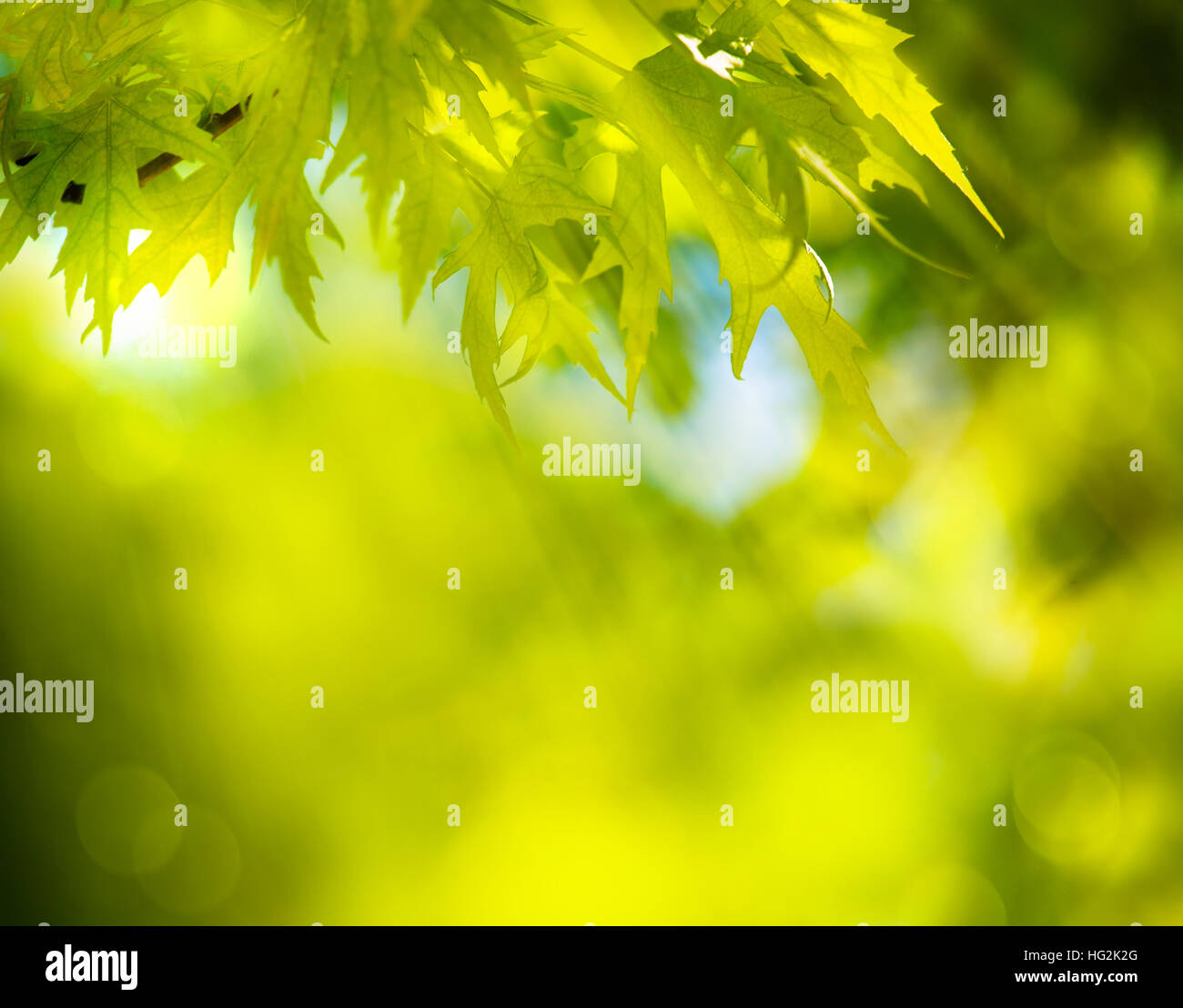 abstract spring green background Stock Photo - Alamy