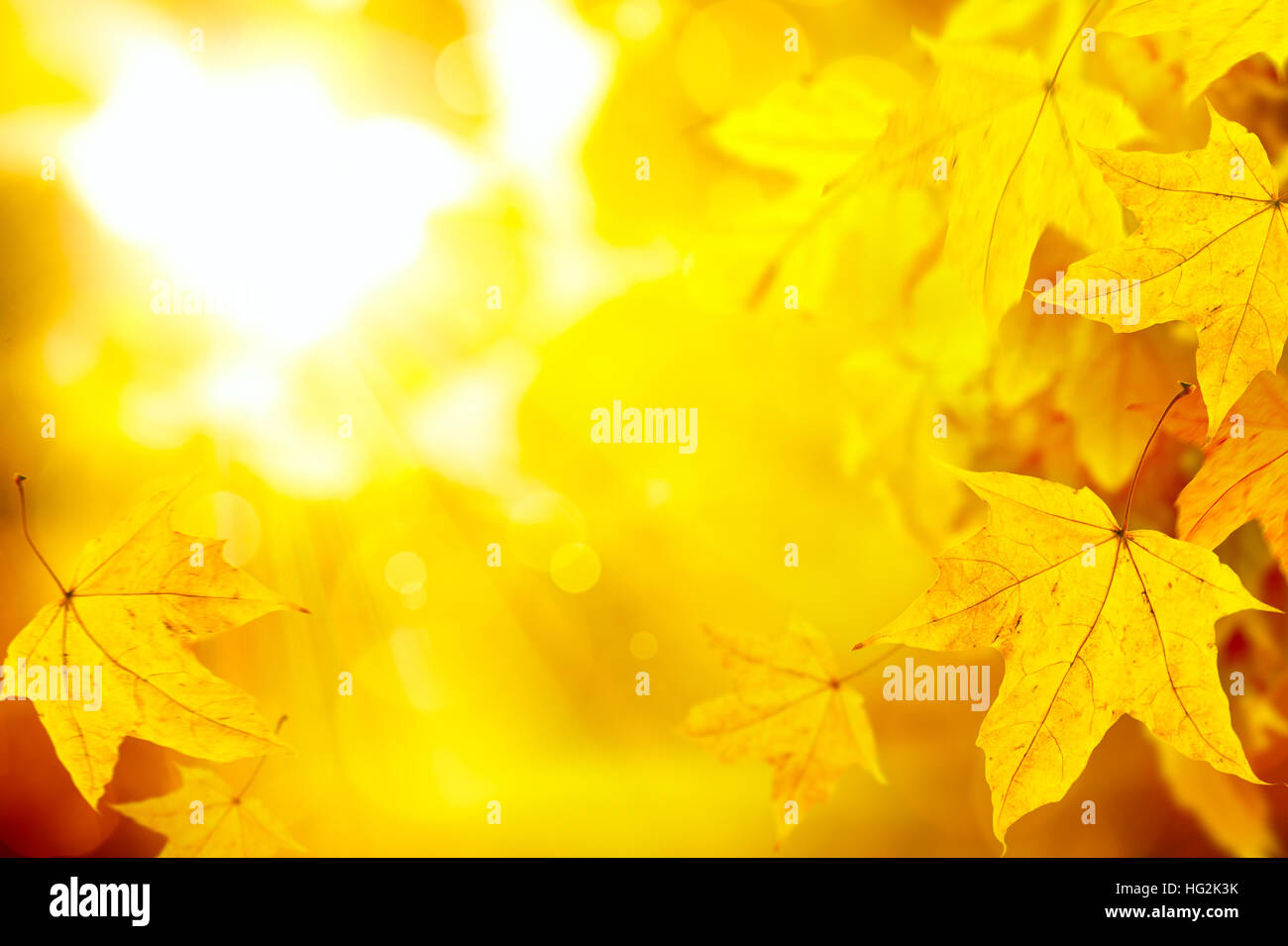 abstract autumn fall yellow leaves nature background Stock Photo - Alamy