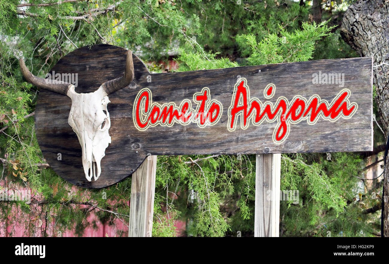 Come to Arizona sign with cow skull Stock Photo - Alamy