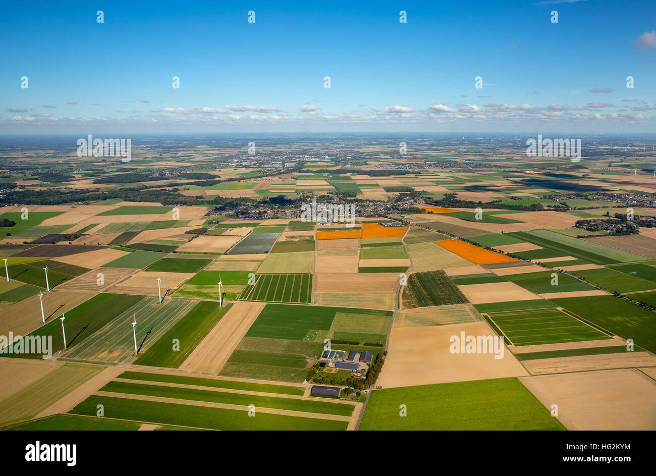 Aerial view, pumpkin fields in Loewenich in Erkelenz, Agriculture ...