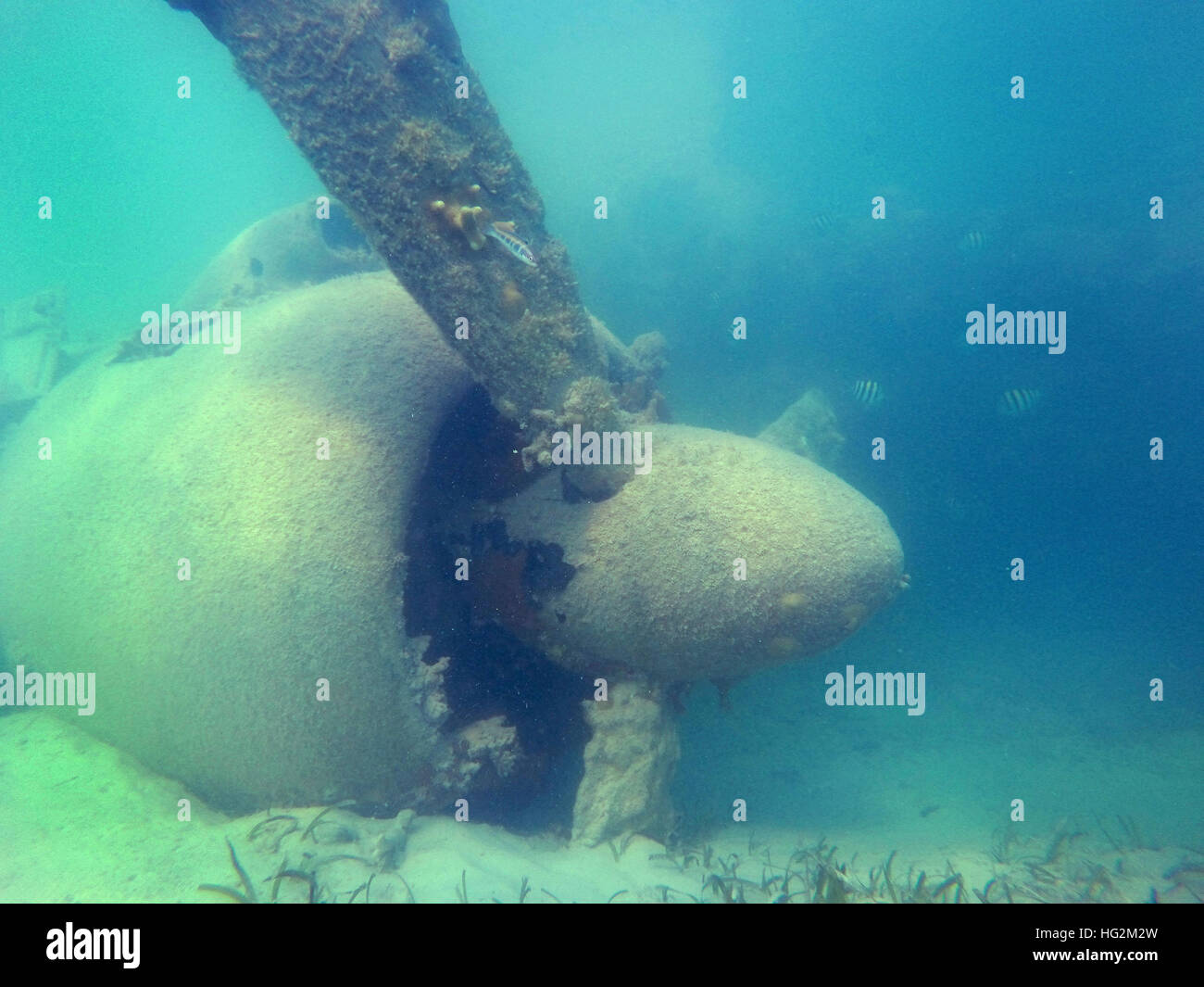 An engine from the plane wreck of Norman's Cay, Bahamas Stock Photo - Alamy