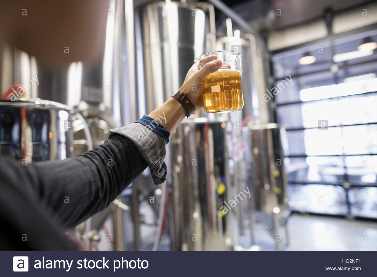 Male brewer examining beaker of beer in brewery Stock Photo - Alamy