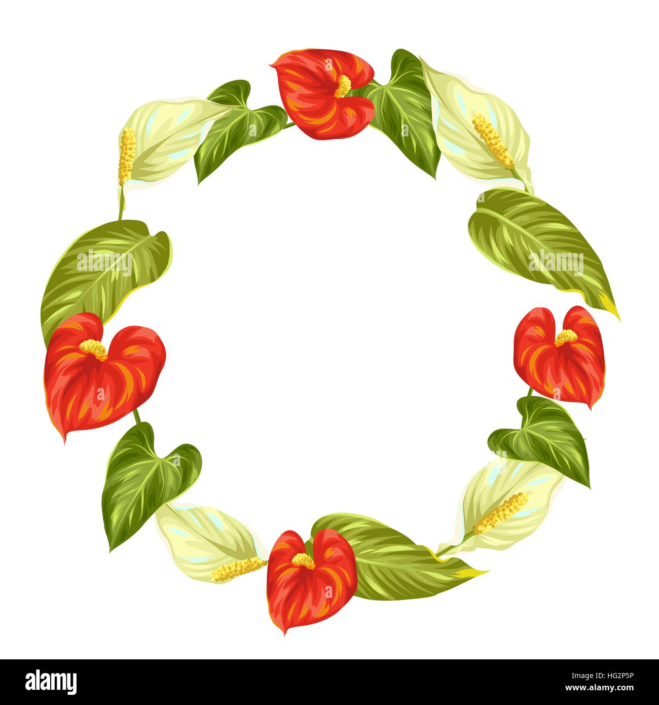 Anthurium spathiphyllum Stock Vector Images - Alamy
