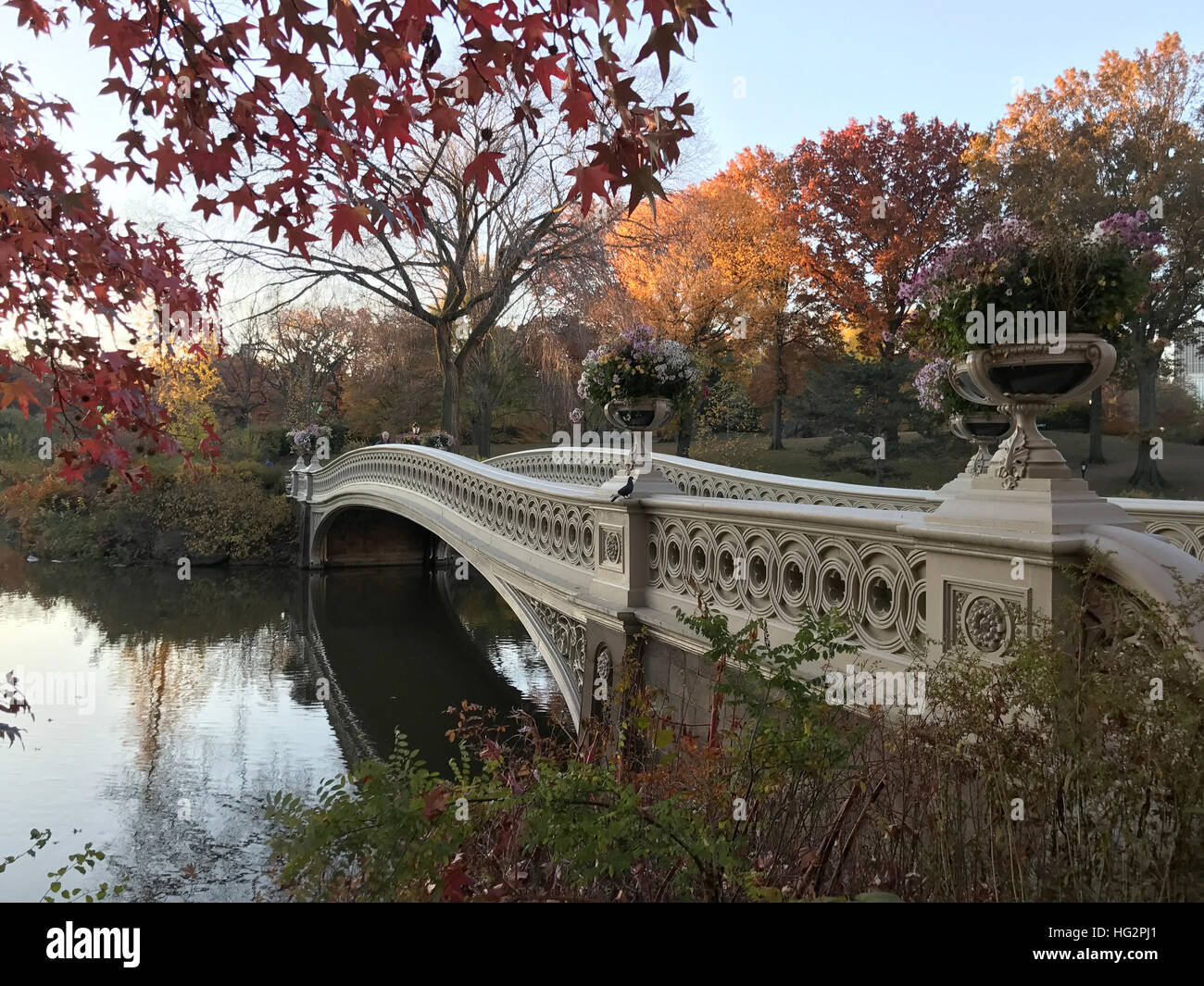The Bow Bridge is a cast iron bridge located in Central Park, New York ...