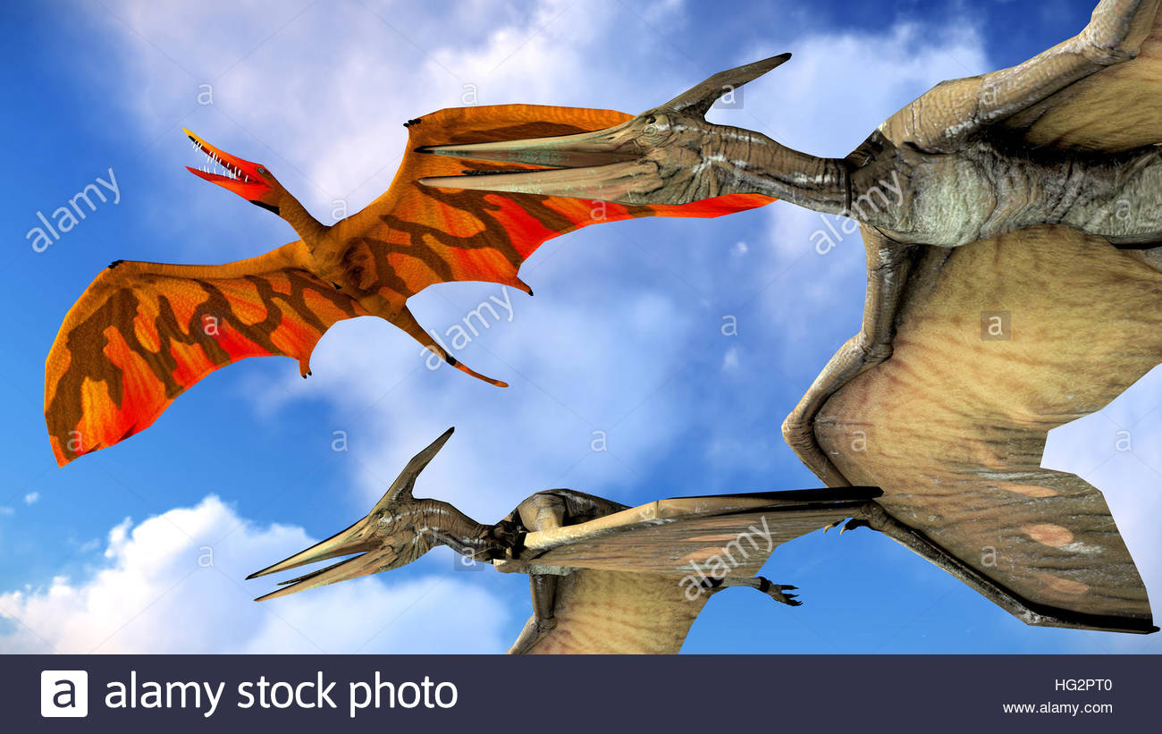 Pterodactyl Isolated Stock Photos & Pterodactyl Isolated Stock Images ...