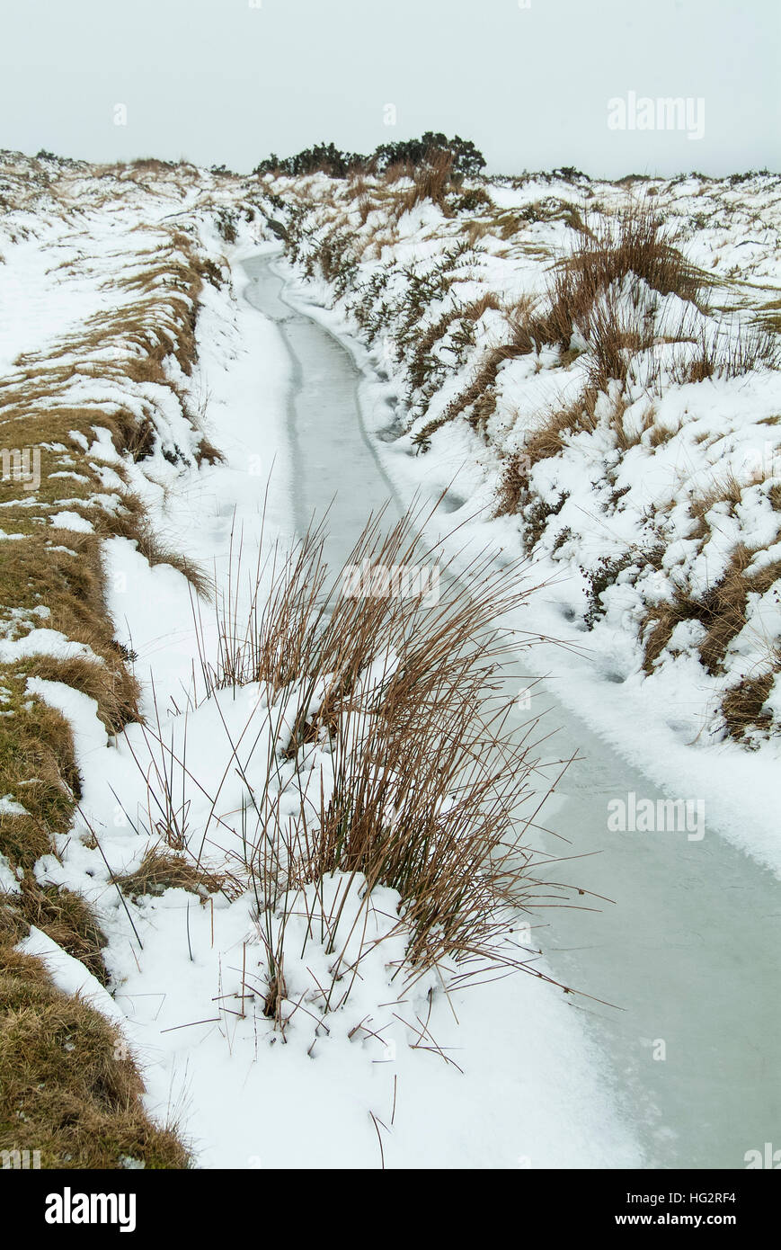 A leat on Dartmoor, England UK Stock Photo - Alamy