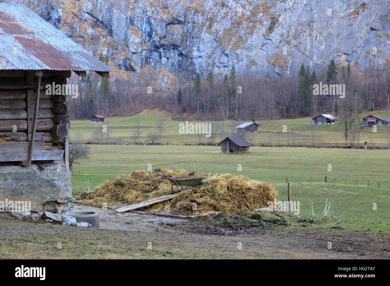 A photograph of a working barn for cattle in Lauterbrunnen Valley ...