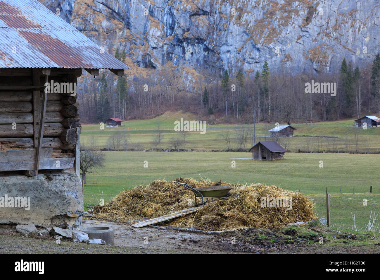 A photograph of a working barn for cattle in Lauterbrunnen Valley ...
