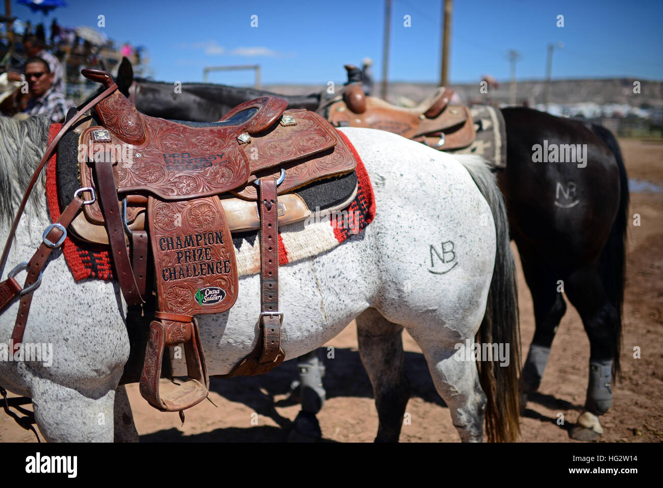 Navajo Nation Fair, a world-renowned event that showcases Navajo ...