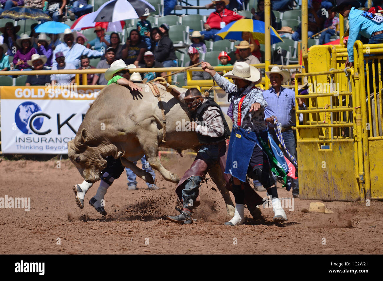 Rodeo competition during Navajo Nation Fair, a world-renowned event ...