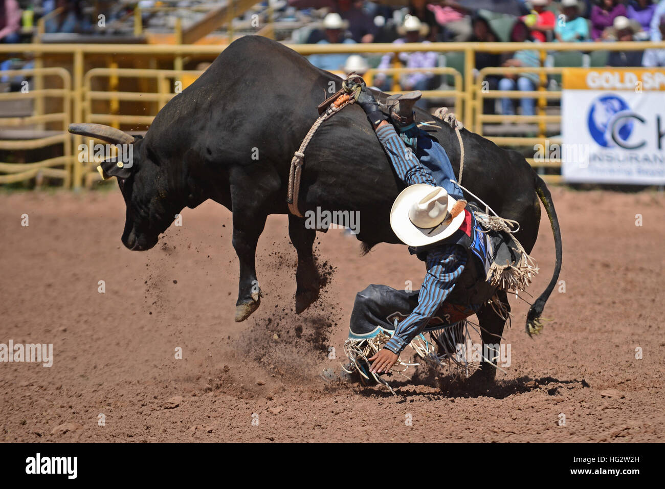 Rodeo competition during Navajo Nation Fair, a world-renowned event ...