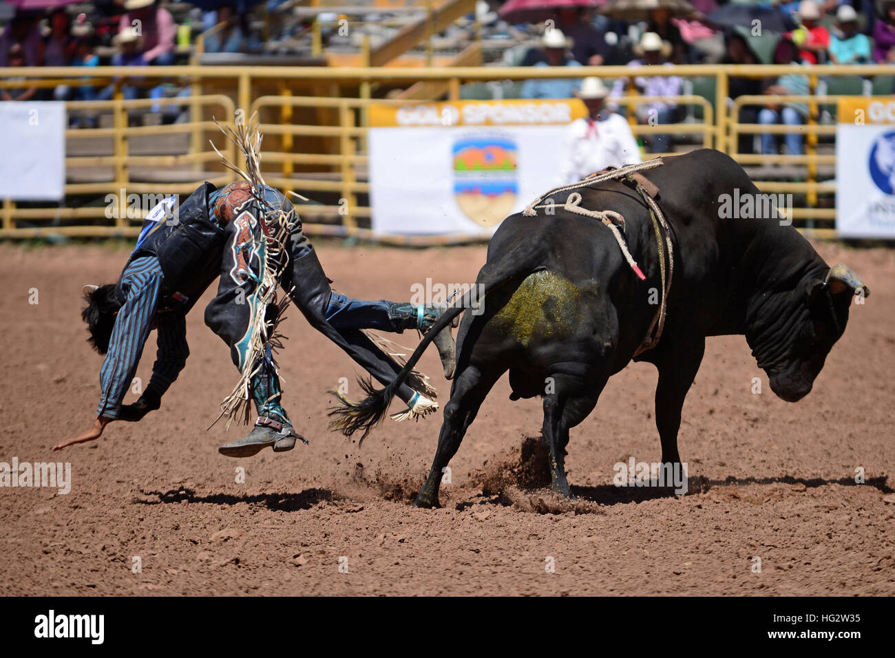 Rodeo competition during Navajo Nation Fair, a world-renowned event ...