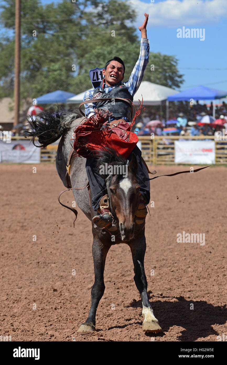 Rodeo competition during Navajo Nation Fair, a world-renowned event ...