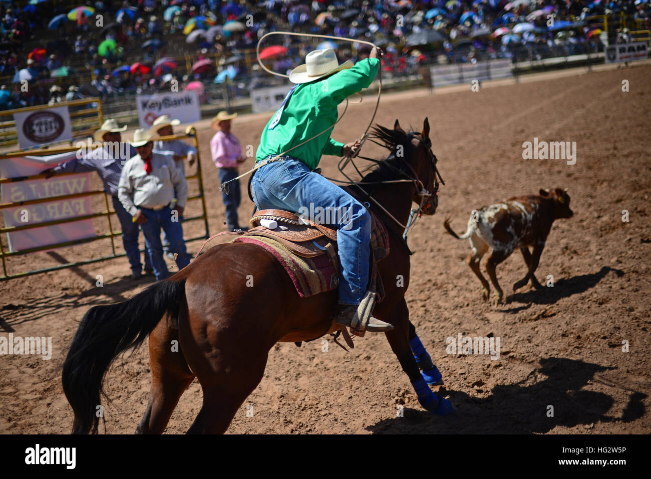 Rodeo competition during Navajo Nation Fair, a world-renowned event ...