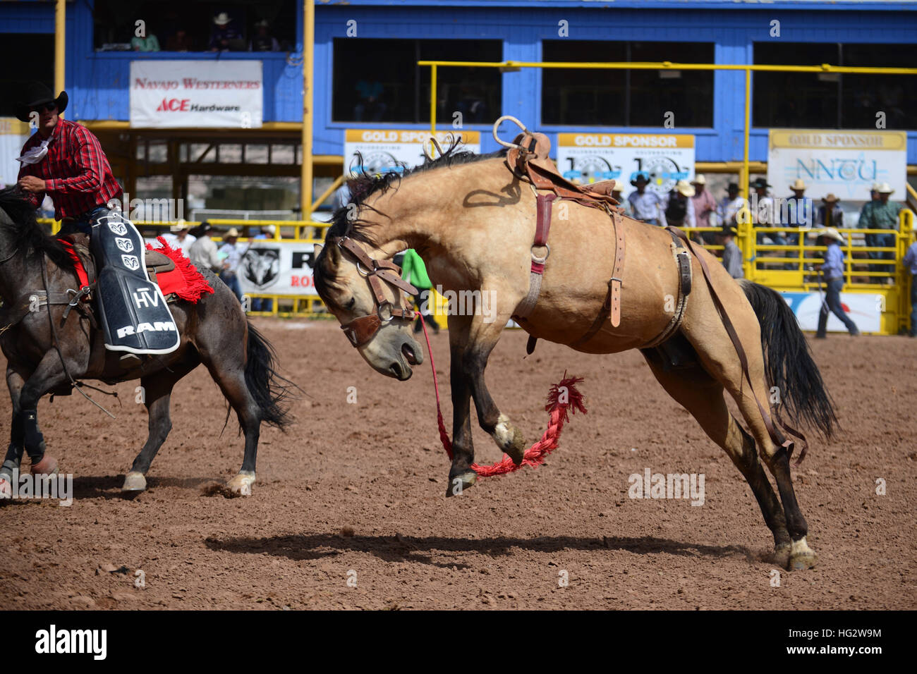 Rodeo competition during Navajo Nation Fair, a world-renowned event ...