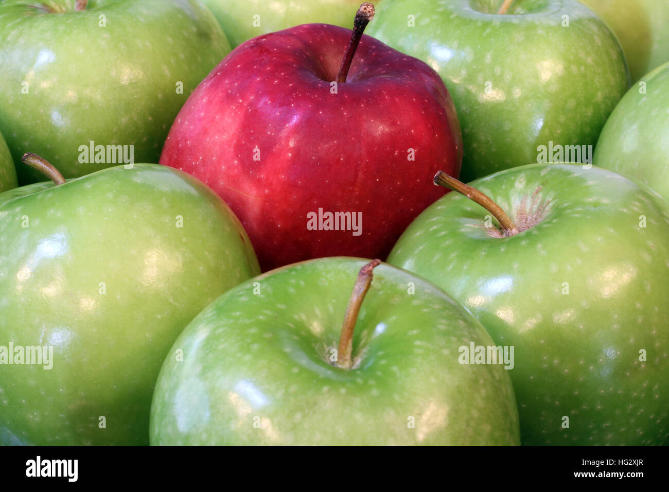A closeup of a Red Delicious apple surrounded by Granny Smith apples ...