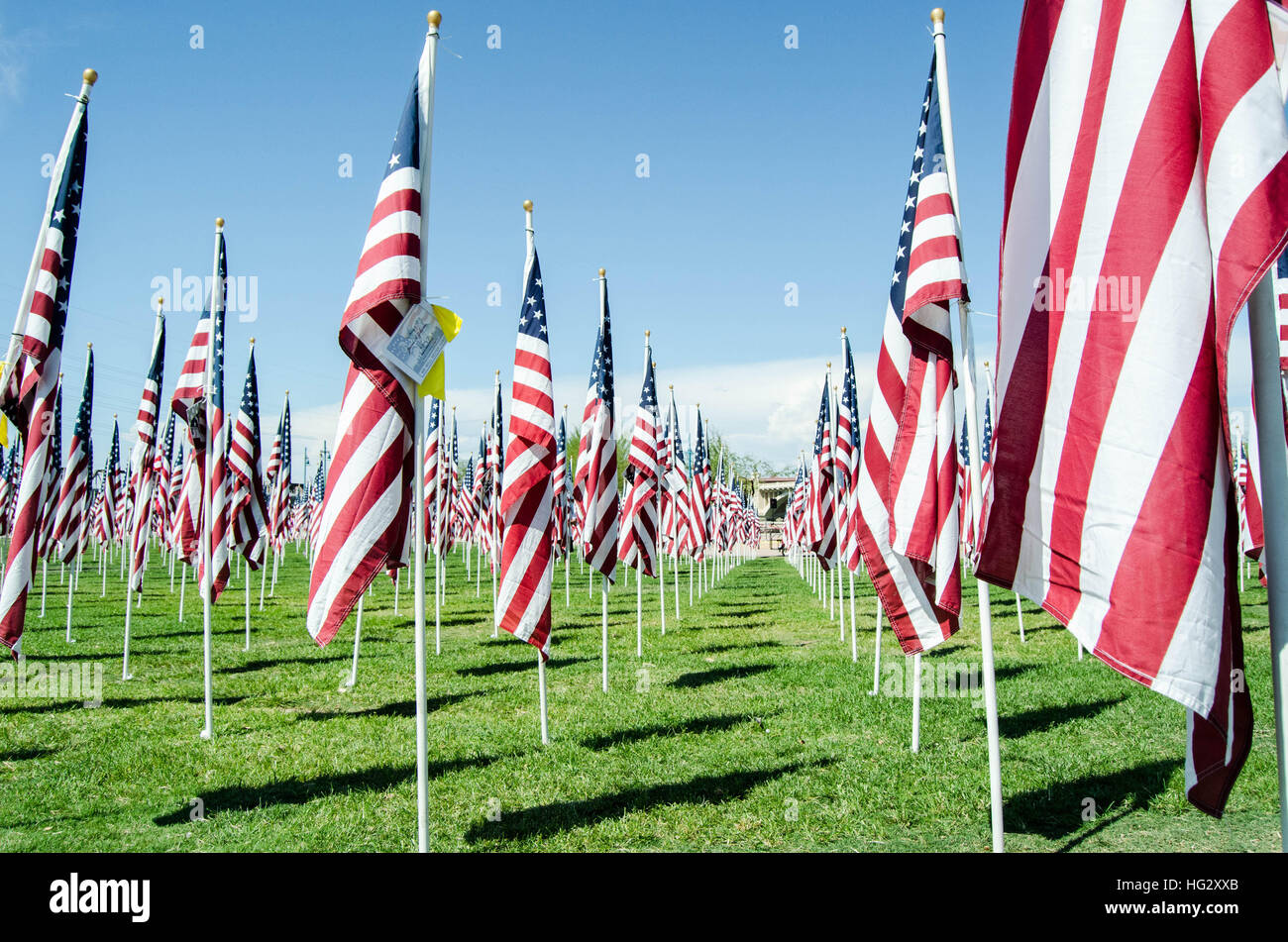 Field of Flags Stock Photo - Alamy