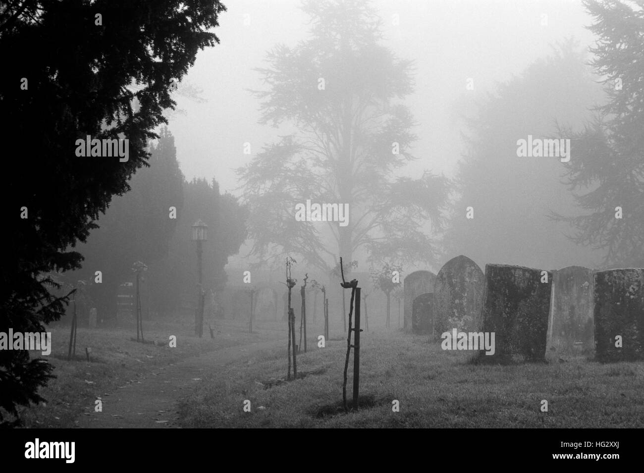 heavy fog giving an ethereal atmosphere shrouding a graveyard england ...