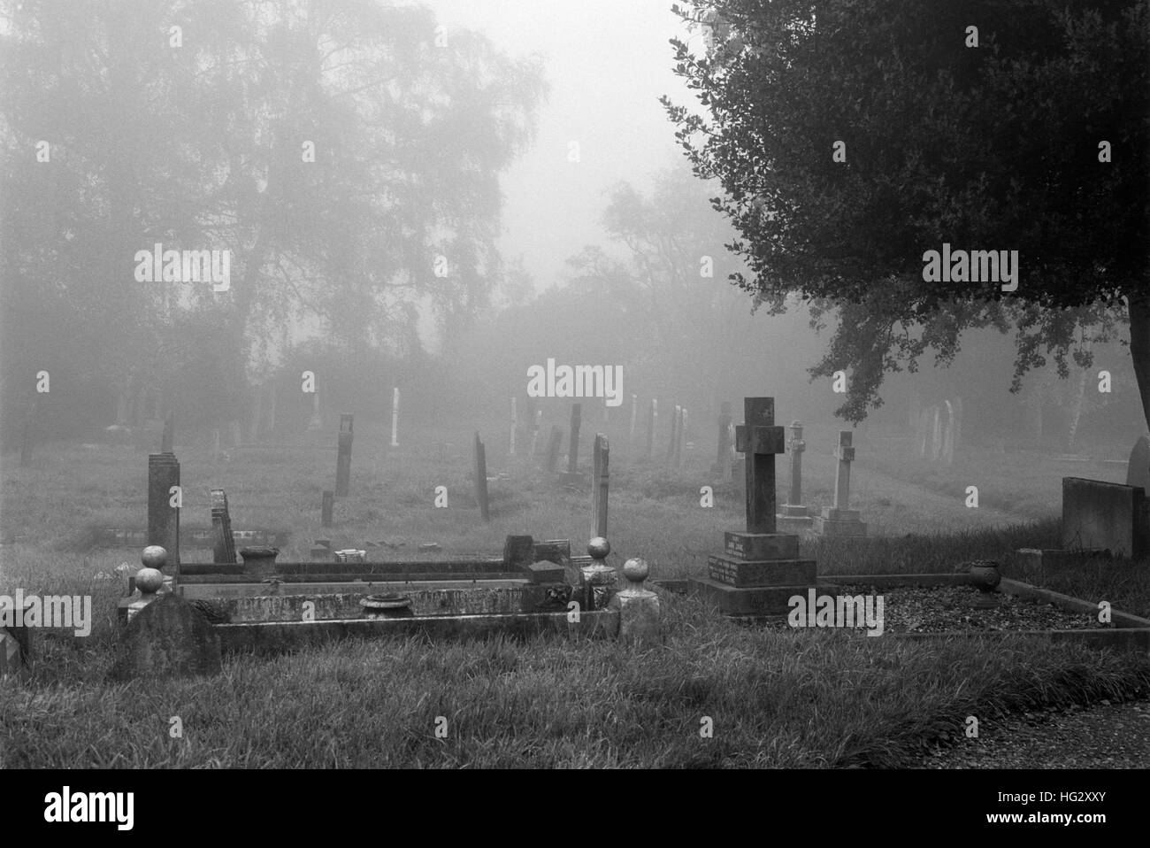 heavy fog giving an ethereal atmosphere shrouding a graveyard england ...