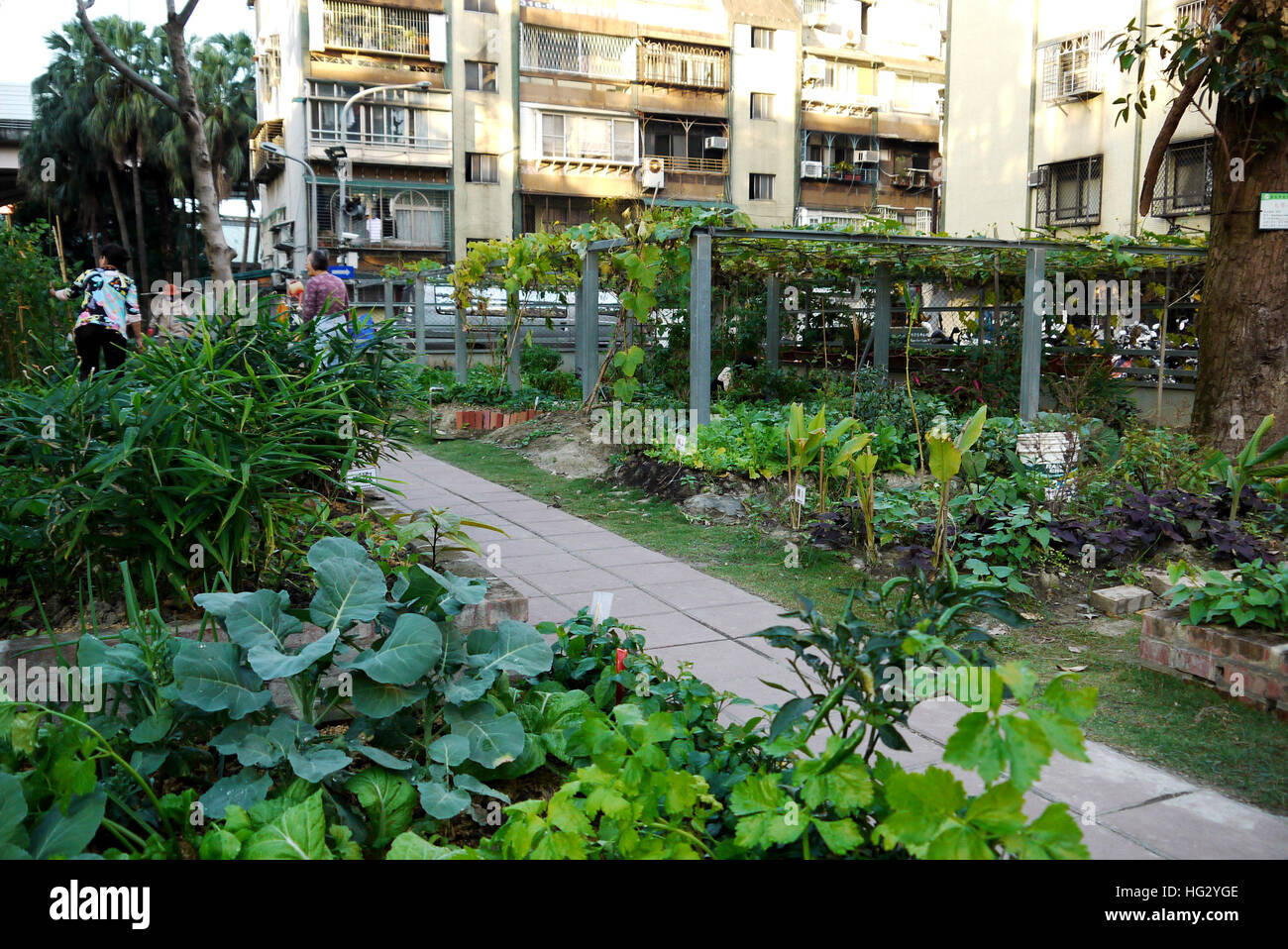 Taipei taiwan vegetables hi-res stock photography and images - Alamy