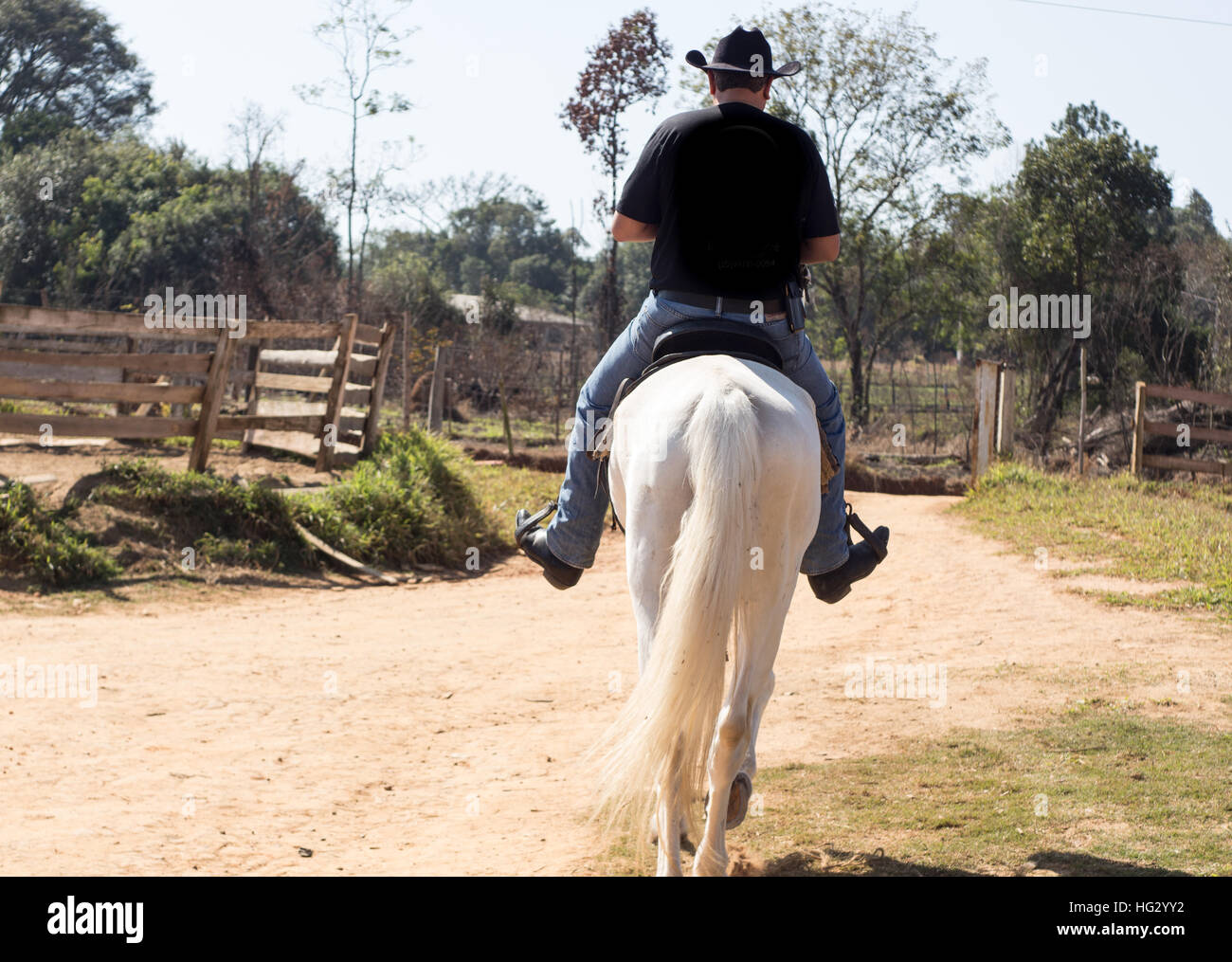 A man farmer with his horse by the farm Stock Photo - Alamy