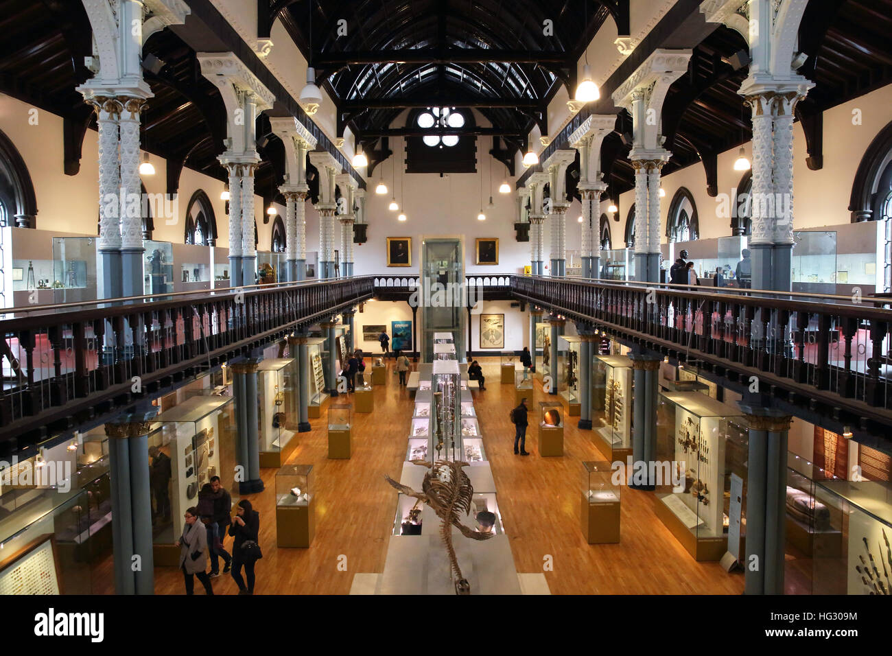 The hunterian museum hi-res stock photography and images - Alamy