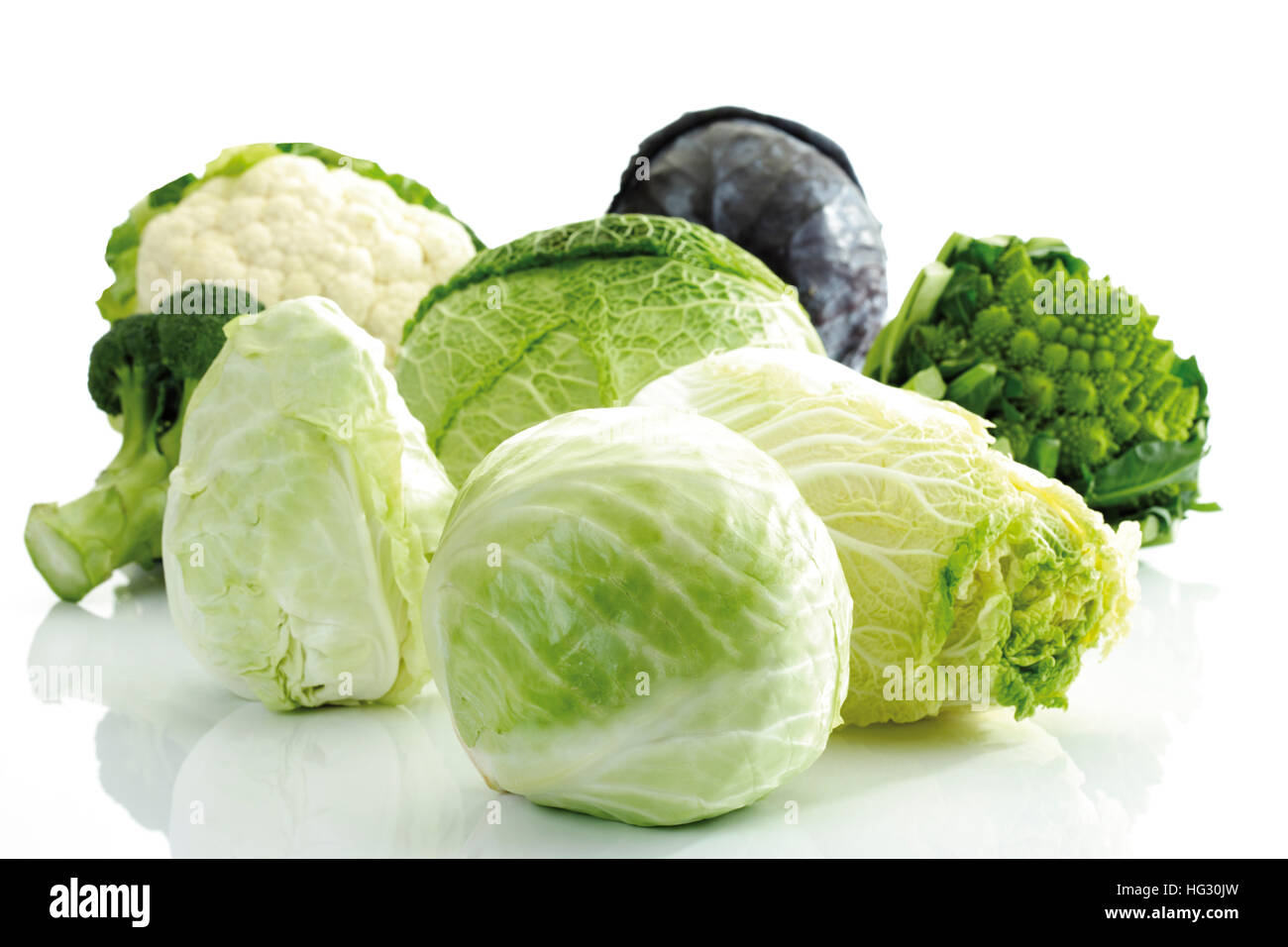 Cabbage varieties: Red Cabbage, Cauliflower, Broccoli, Savoy, Romanesco ...
