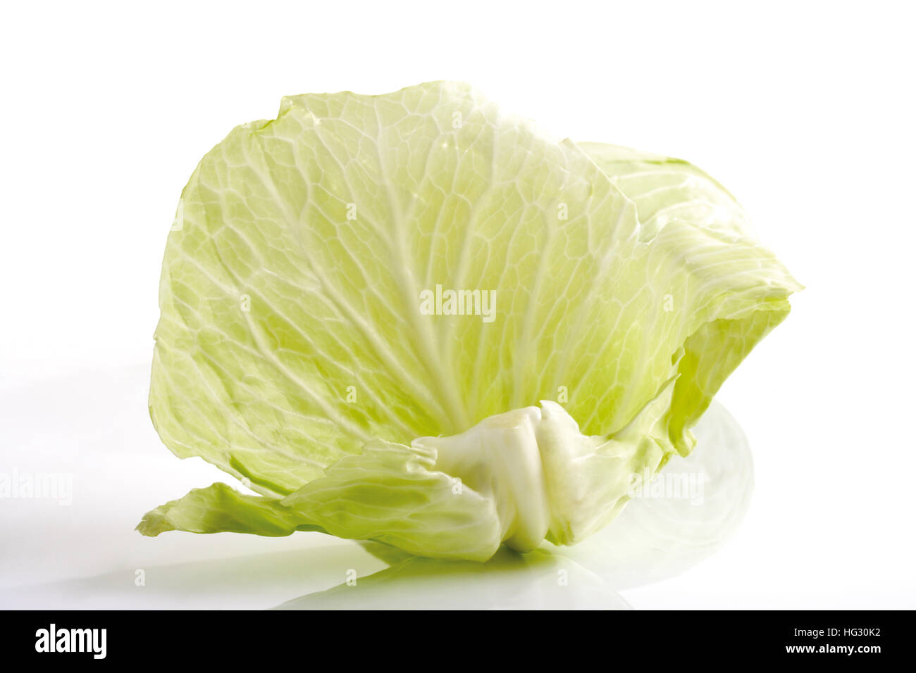 Cabbage white markings hi-res stock photography and images - Alamy