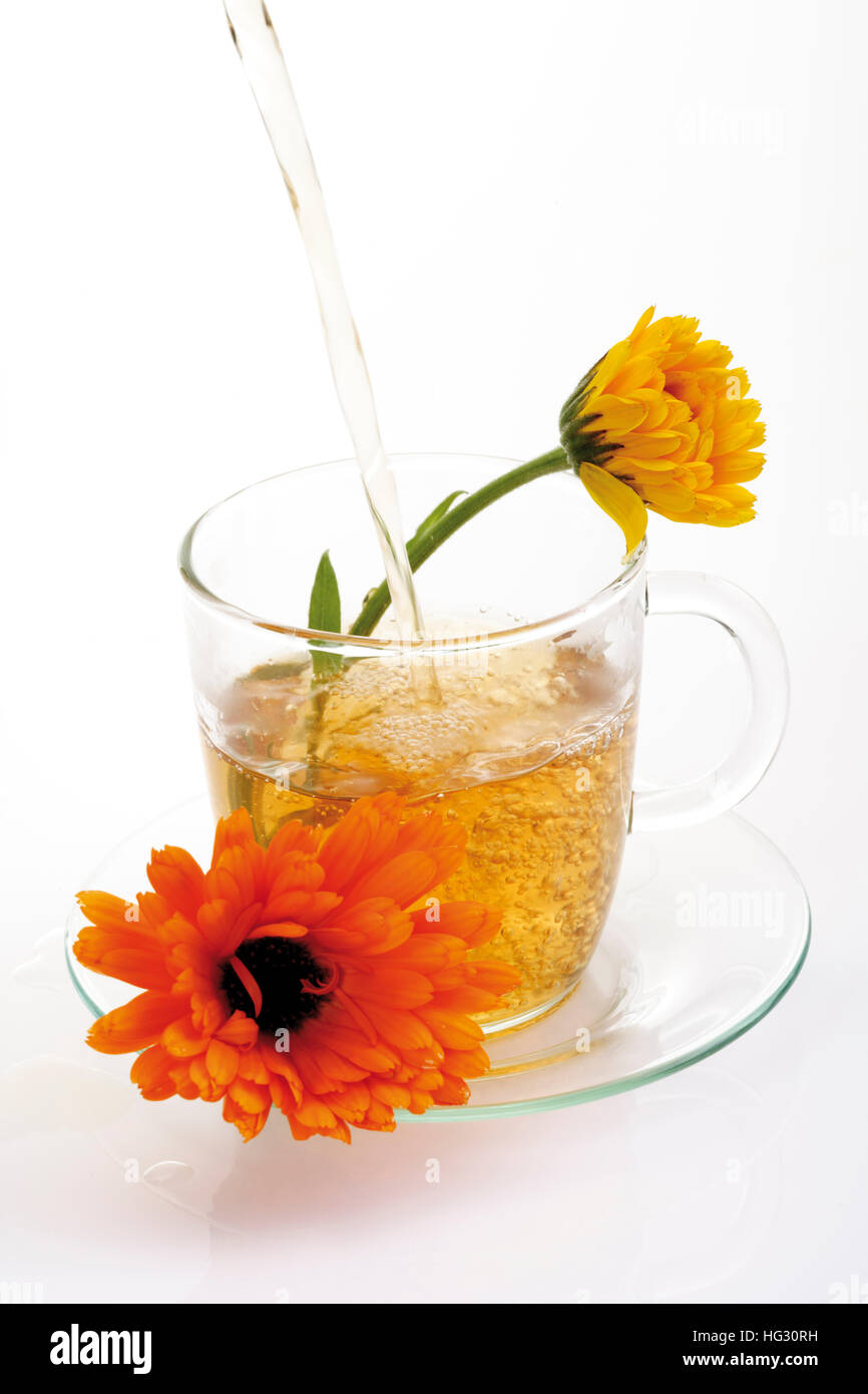 Marigold tea (Calendula officinalis Stock Photo - Alamy
