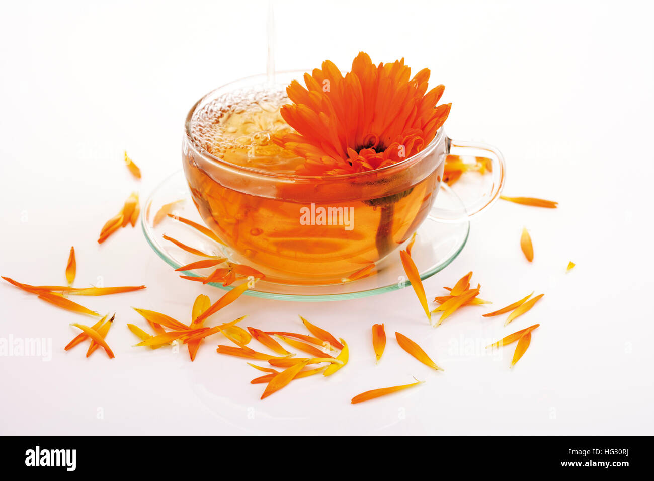 Marigold tea (Calendula officinalis Stock Photo - Alamy