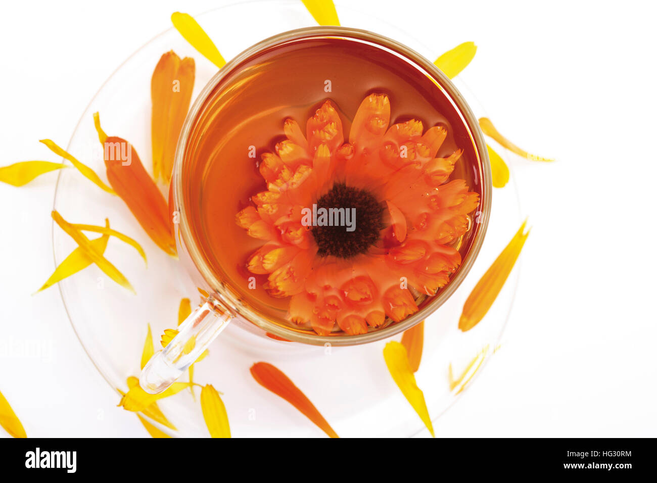 Marigold tea (Calendula officinalis Stock Photo - Alamy