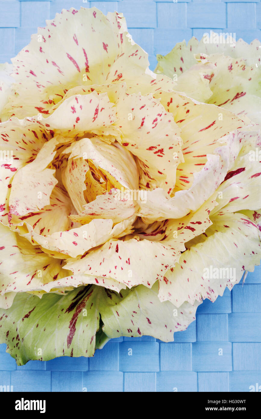 Castelfranco radicchio hi-res stock photography and images - Alamy