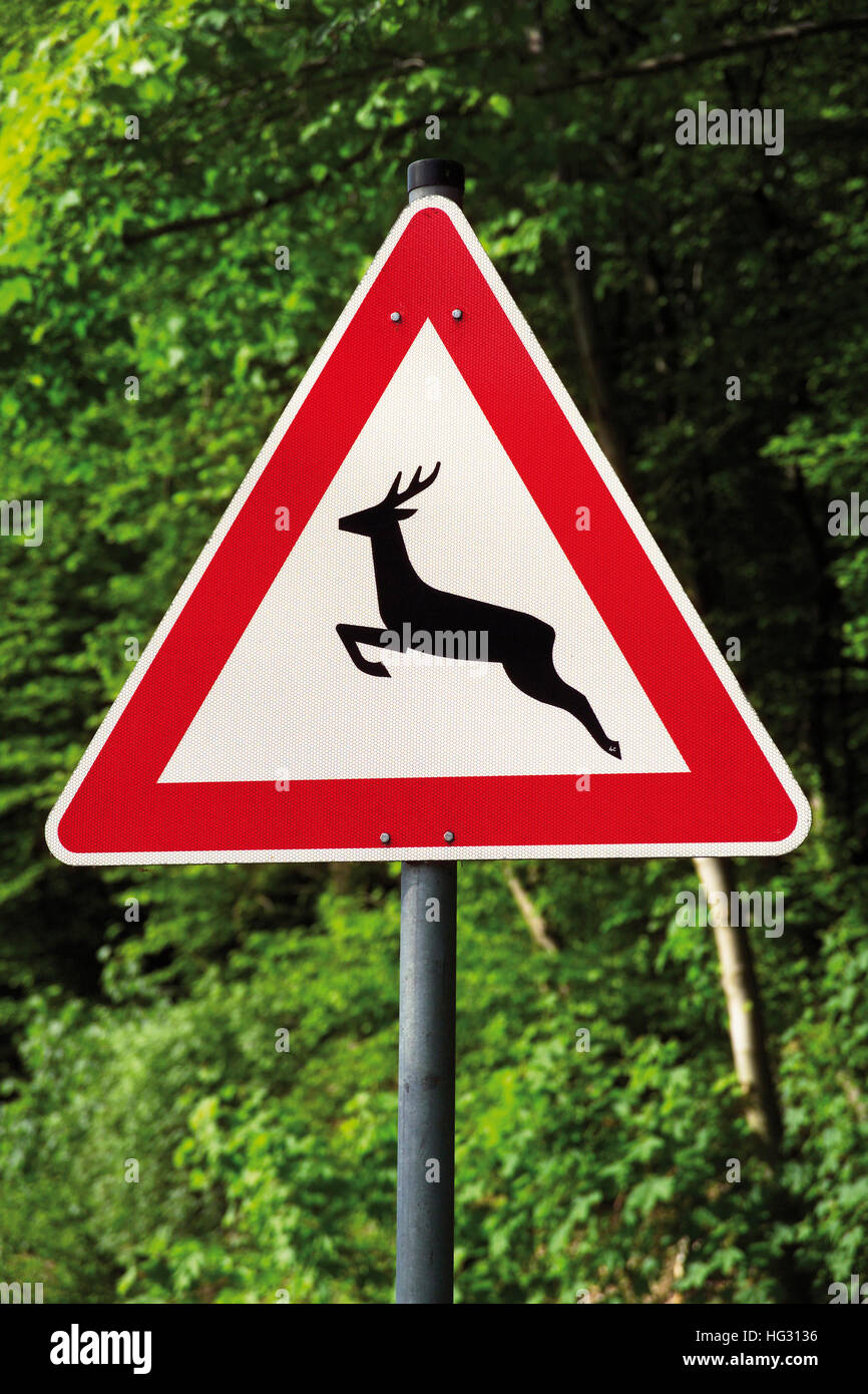 Traffic sign: deer crossing Stock Photo - Alamy