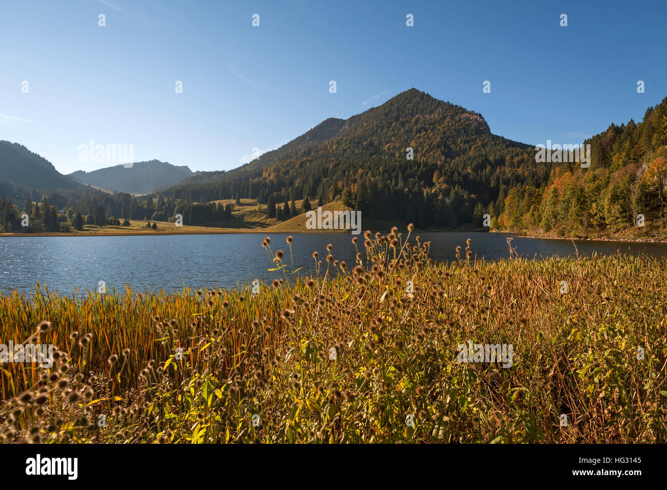 Walchsee autumn hi-res stock photography and images - Alamy