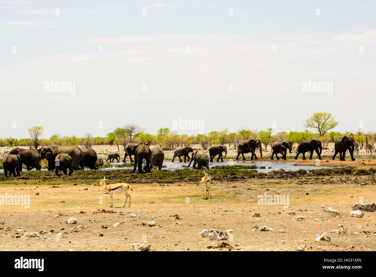 Meet family hi-res stock photography and images - Alamy