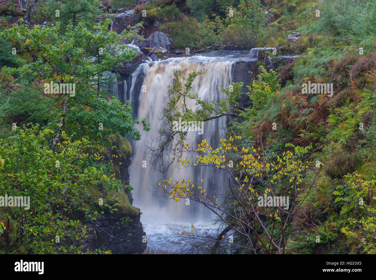 Slattadale forest hi-res stock photography and images - Alamy