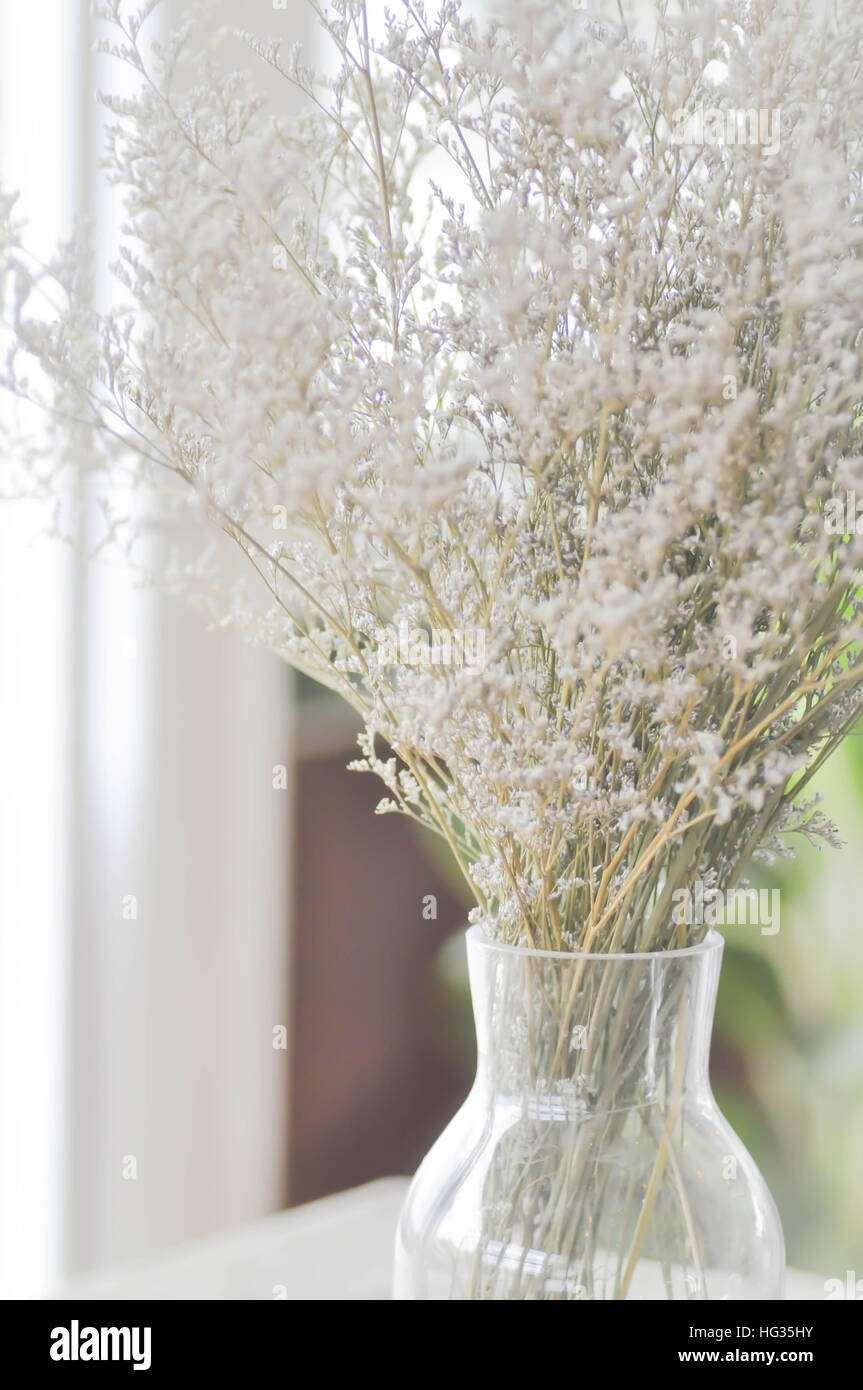purple caspia flowers in vase or caspia flower Stock Photo - Alamy